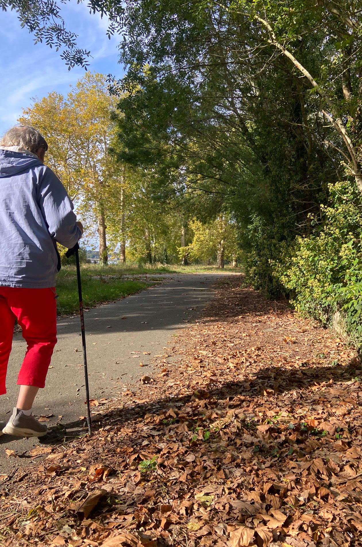 Prestations en établissements - Espérance